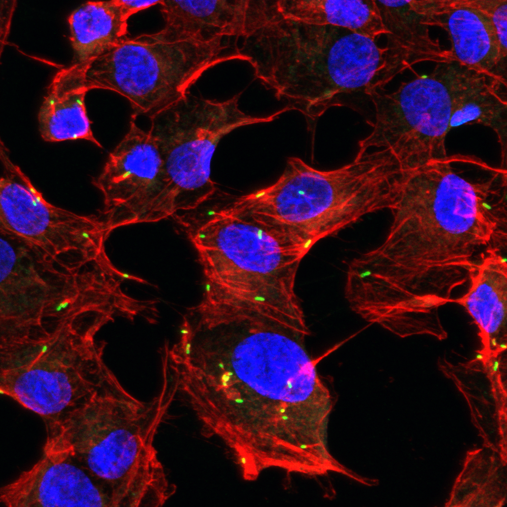 Kim Laboratory - Research